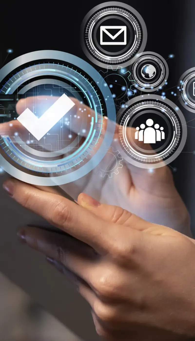 Clearly Local Translation and Localization Services